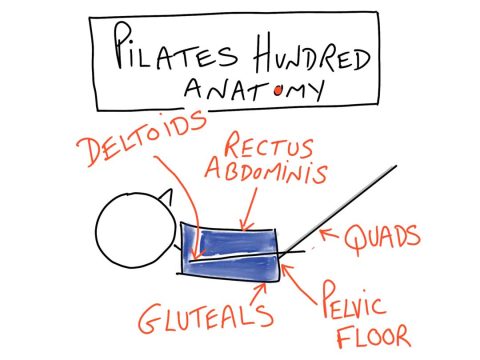 Anatomy of the Perfect Pilates Hundred Exercise: Tips and Tricks