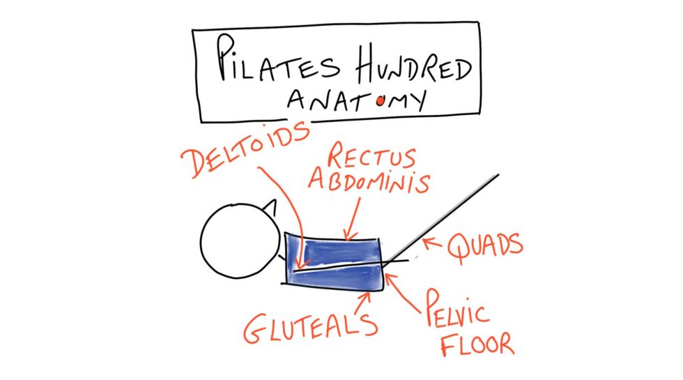Anatomy of the Perfect Pilates Hundred Exercise: Tips and Tricks