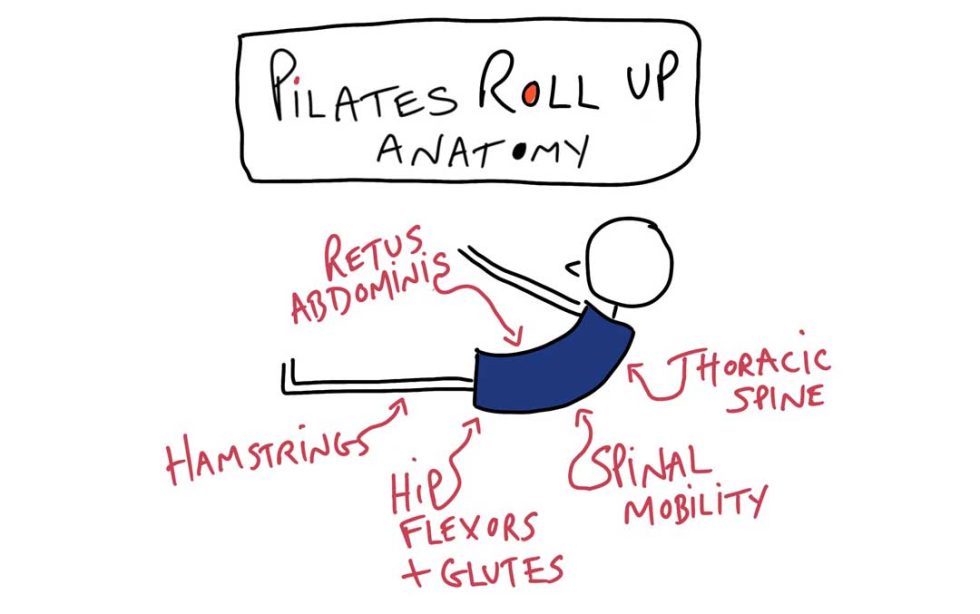 Anatomy of the Perfect Pilates Roll Up Exercise: Tips and Tricks