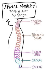 Anatomy of the Perfect Pilates Roll Up Exercise: Tips and Tricks