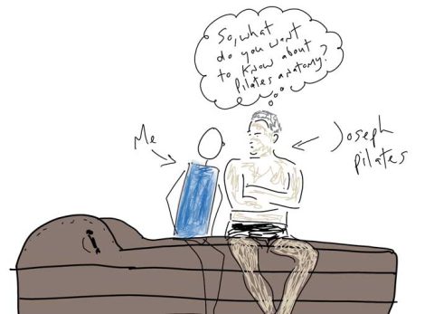 Free Pilates Anatomy Online Course: With Doodle Art